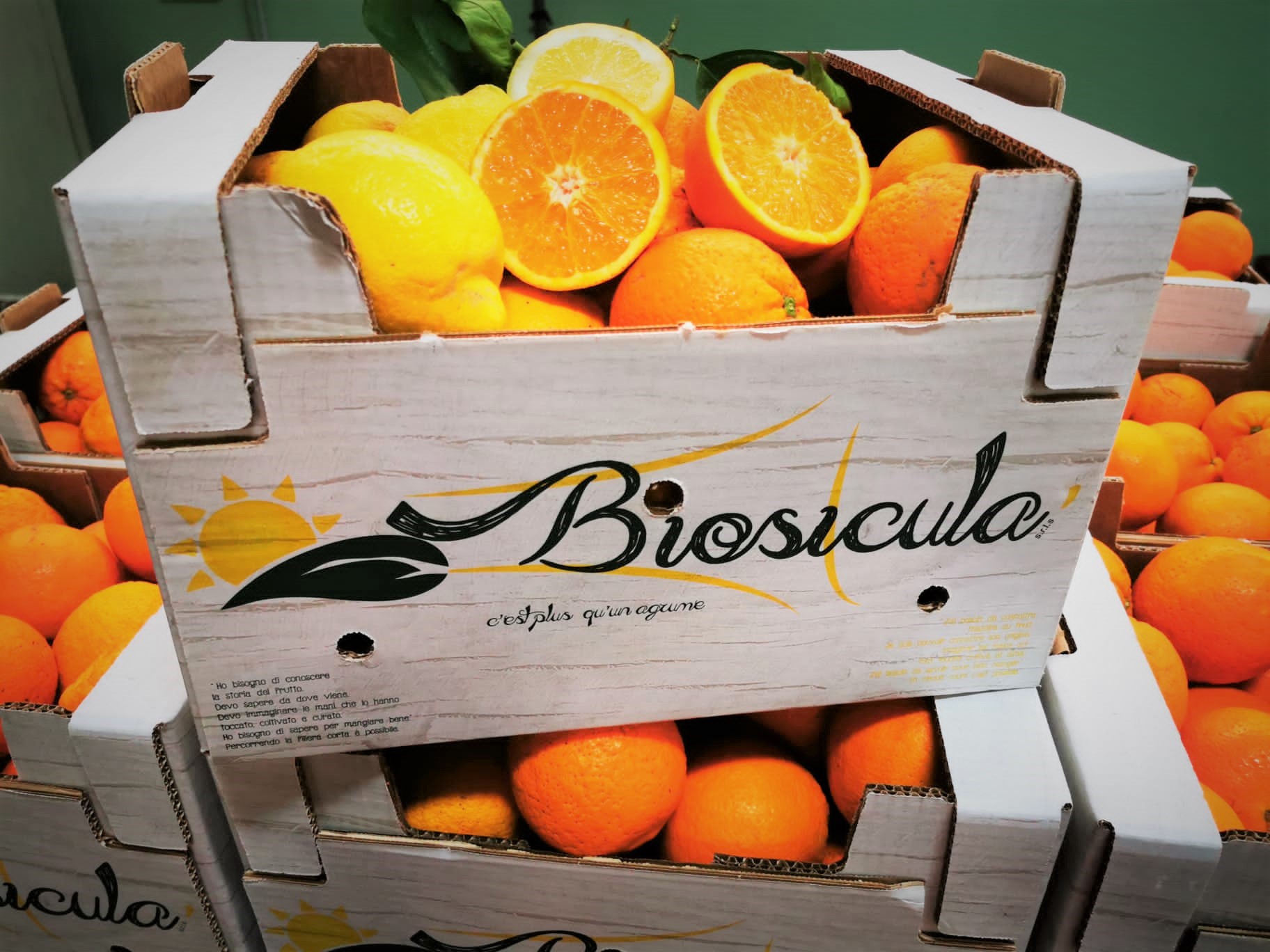 Arance Valencia biologiche di Sicilia - Biosiculà